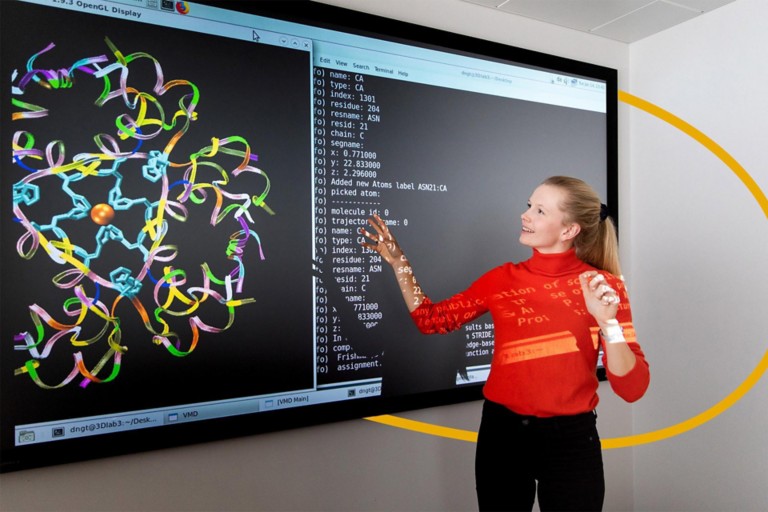 Novo Nordisk Early Career Programs | Novo Nordisk U.S.