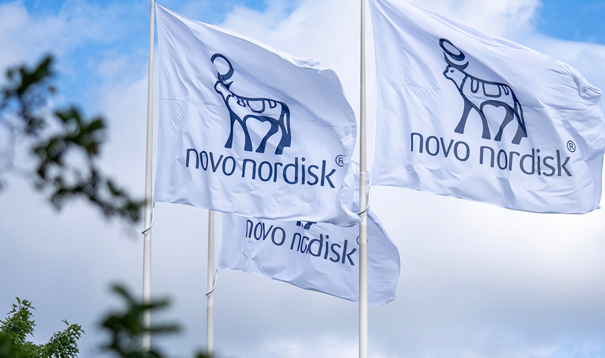 Novo Nordisk Logo Png