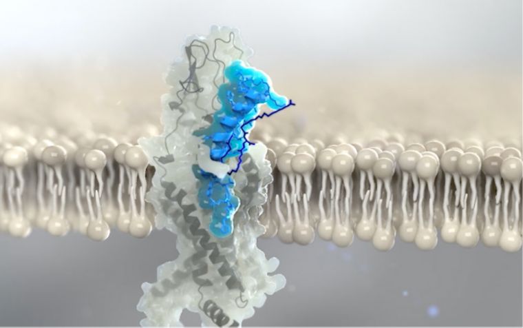 Overview Ozempic® (semaglutide injection) | Novo Nordisk Portal